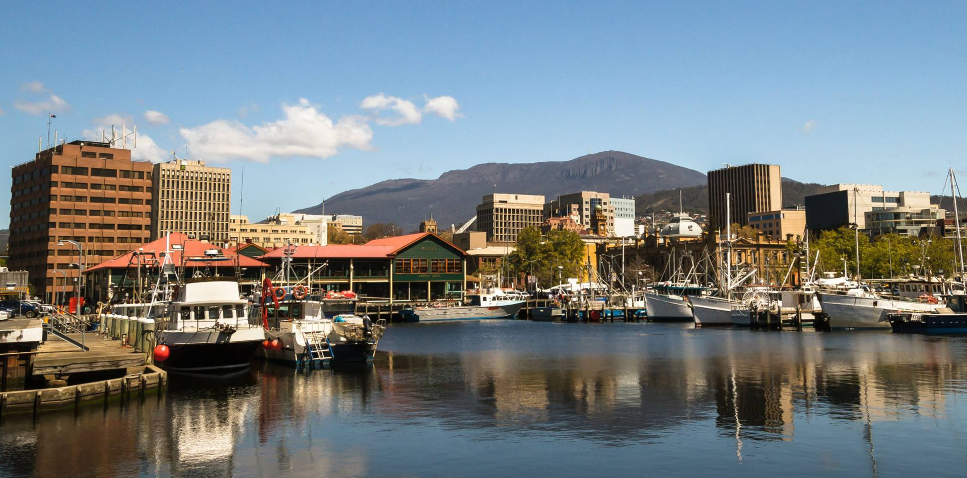 Hobart Vasectomy Centre | No Scalpel Vasectomy | $573 Out Of Pocket